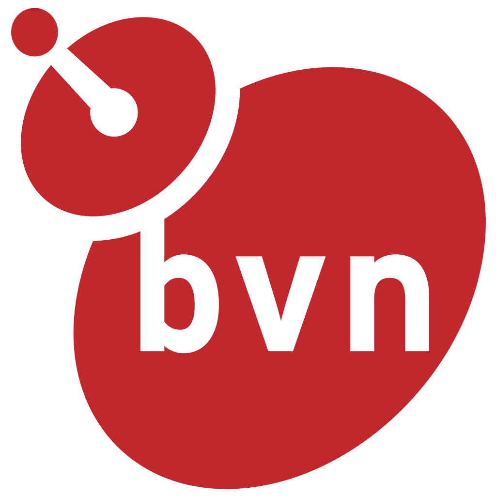 BVN TV Logo, image, download logo | LogoWiki.net