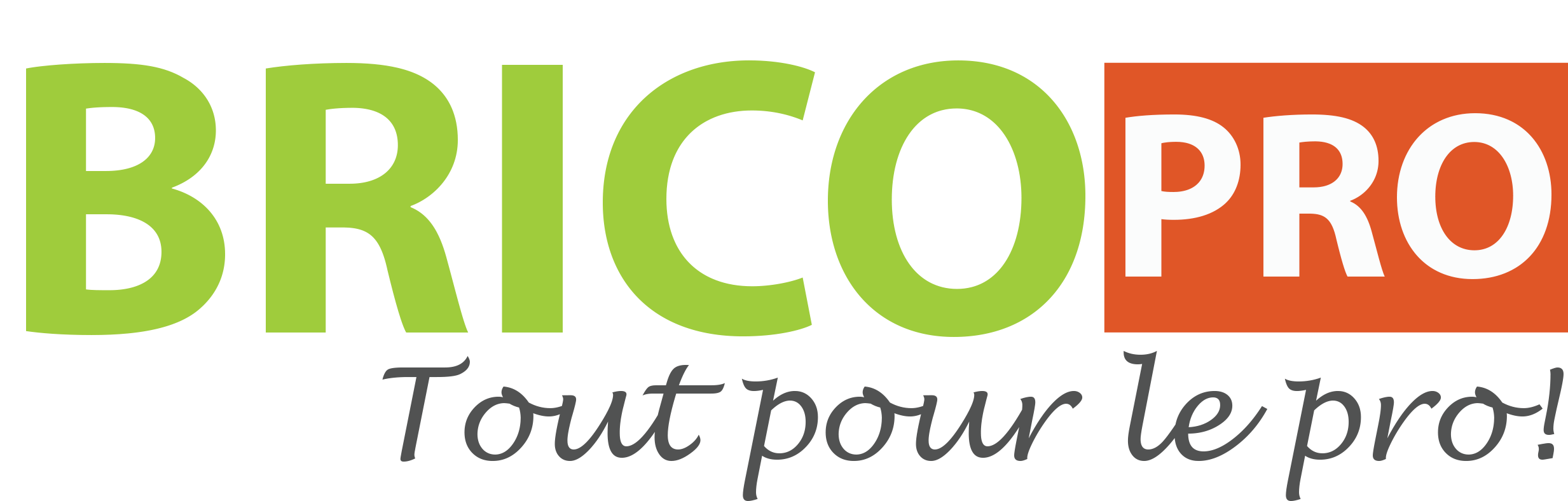 Brico Pro Logo, image, download logo | LogoWiki.net