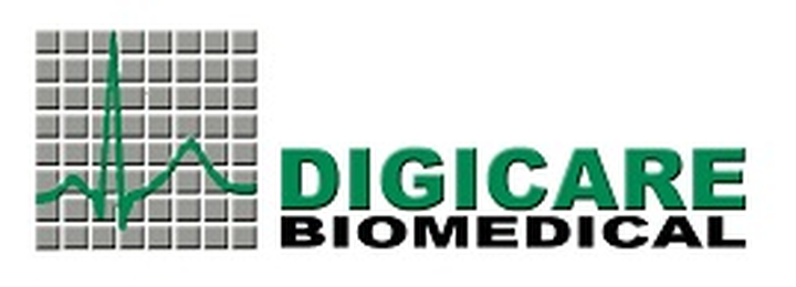 Digicar Logo, image, download logo | LogoWiki.net