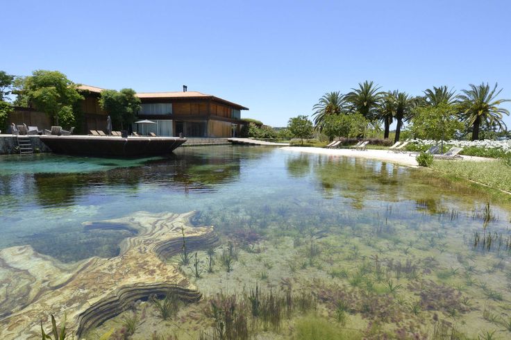 Ecosys Lagos Ornamentais Logo, image, download logo | LogoWiki.net