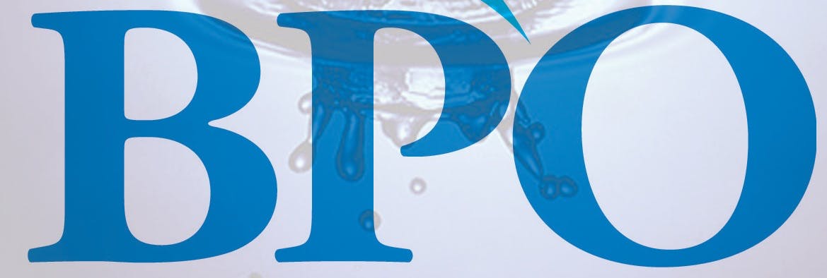 Indus BPO Logo, image, download logo | LogoWiki.net