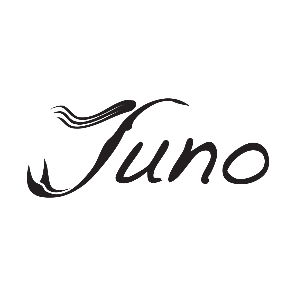 Juno-D Logo, image, download logo | LogoWiki.net
