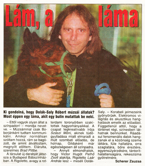 Mai Lap Szines Logo, image, download logo | LogoWiki.net