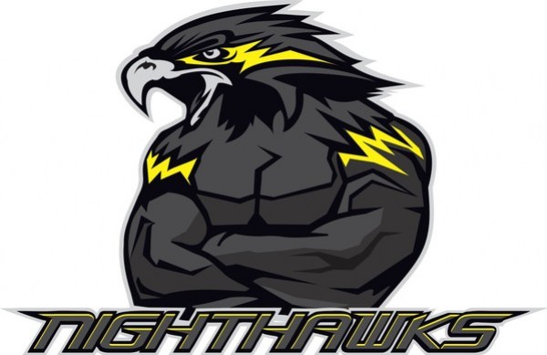 Nighthawk Logo, image, download logo | LogoWiki.net