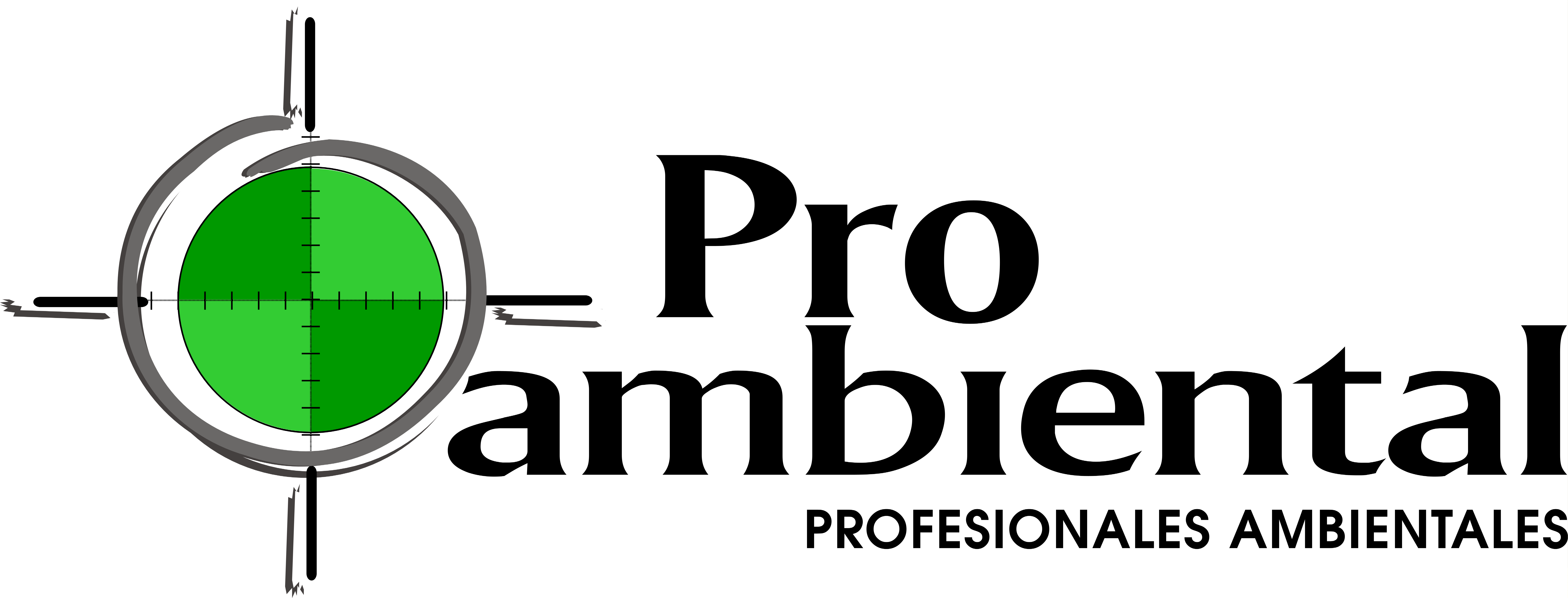 PRO AMBIENTAL Logo, image, download logo | LogoWiki.net