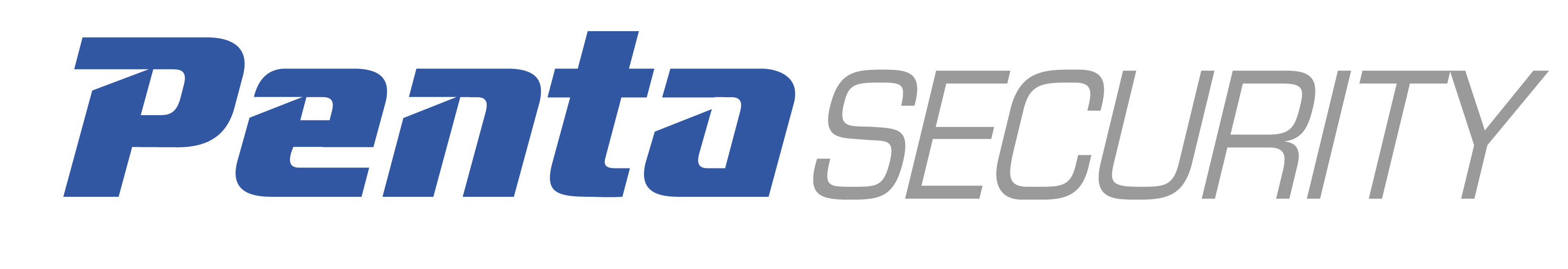 Penta Security Systems Logo, image, download logo | LogoWiki.net