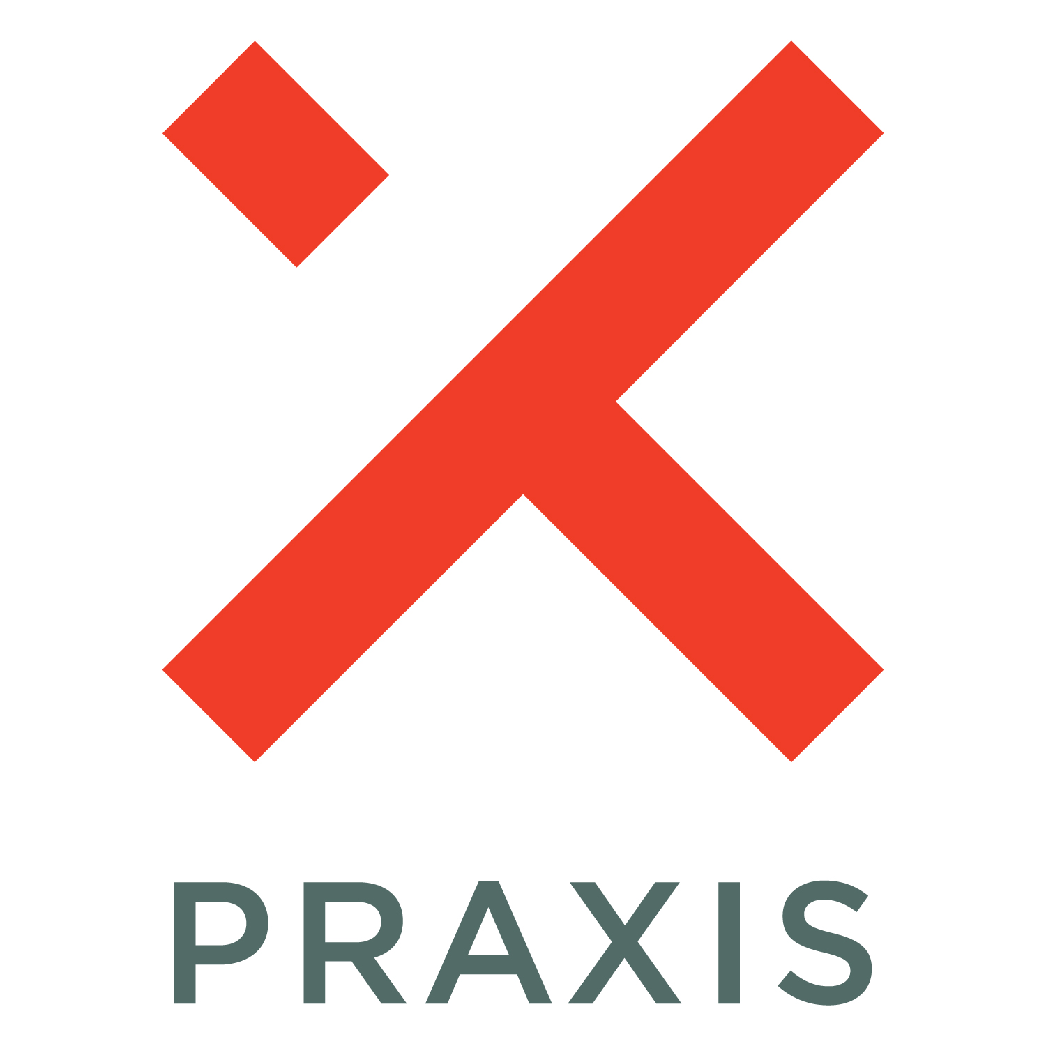 Praxis Logo, image, download logo | LogoWiki.net