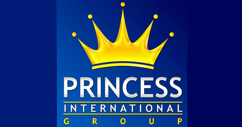 Princess Outlet Centre Logo, image, download logo | LogoWiki.net