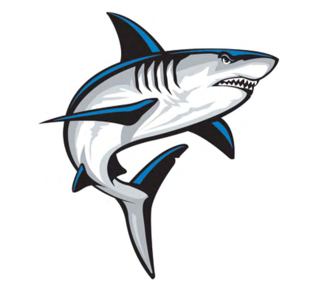 Shark Logo, image, download logo | LogoWiki.net