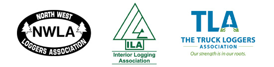 TLA Releasing (2006) Logo, image, download logo | LogoWiki.net