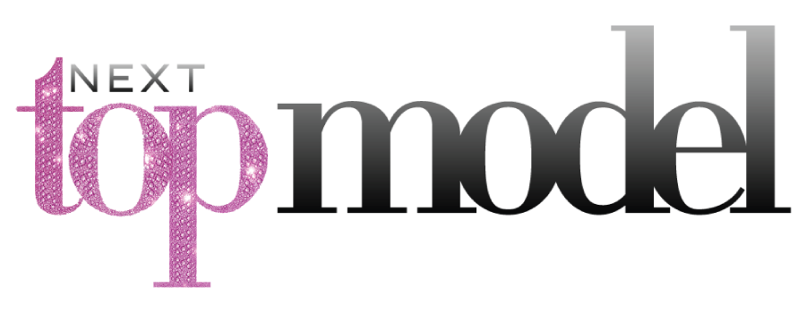 The One Models Logo, image, download logo | LogoWiki.net