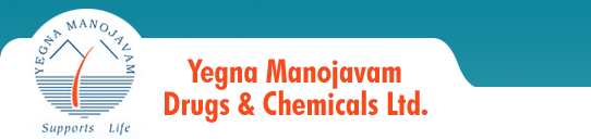 Yegna Logo, image, download logo | LogoWiki.net