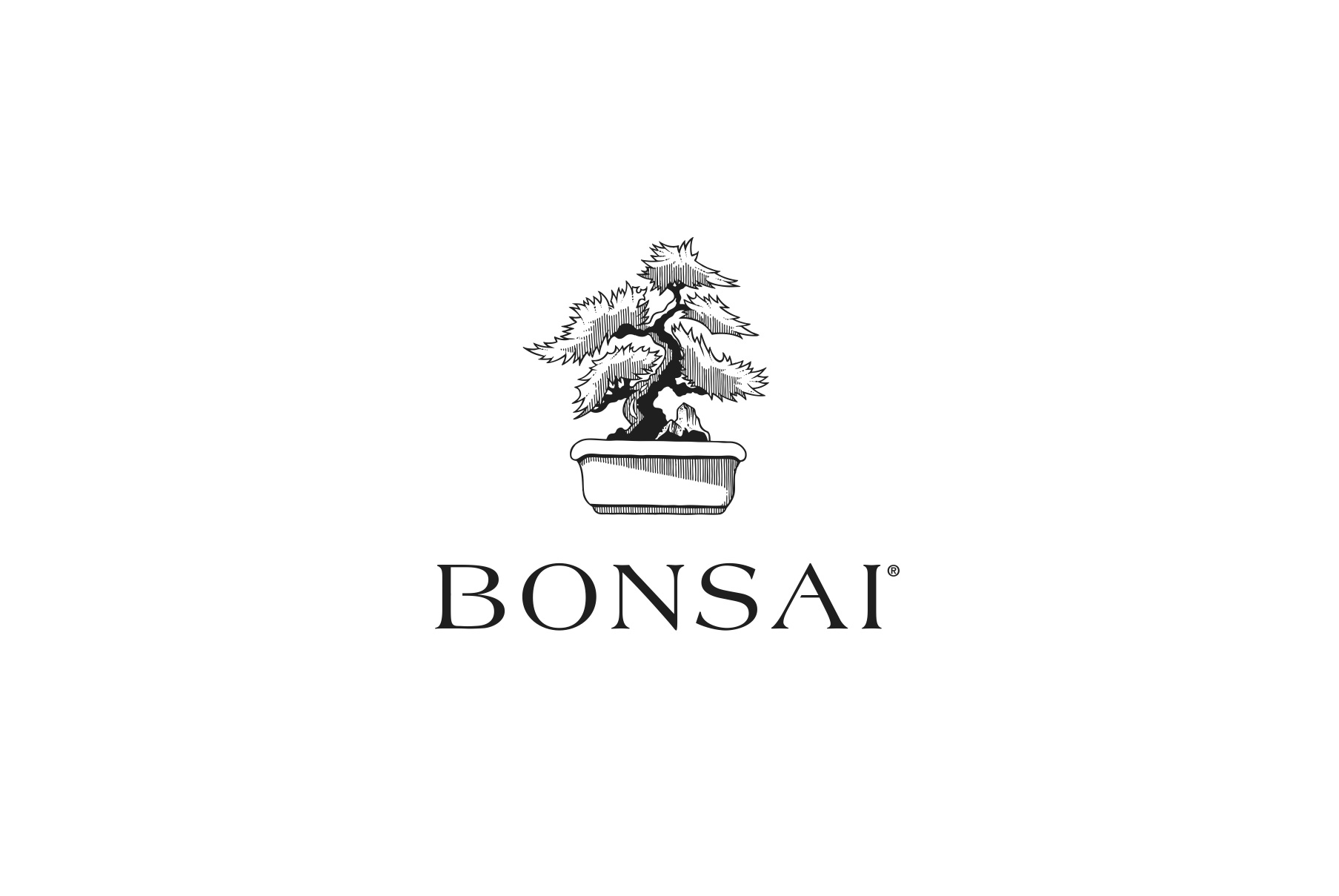 Bonzai Logo, image, download logo | LogoWiki.net